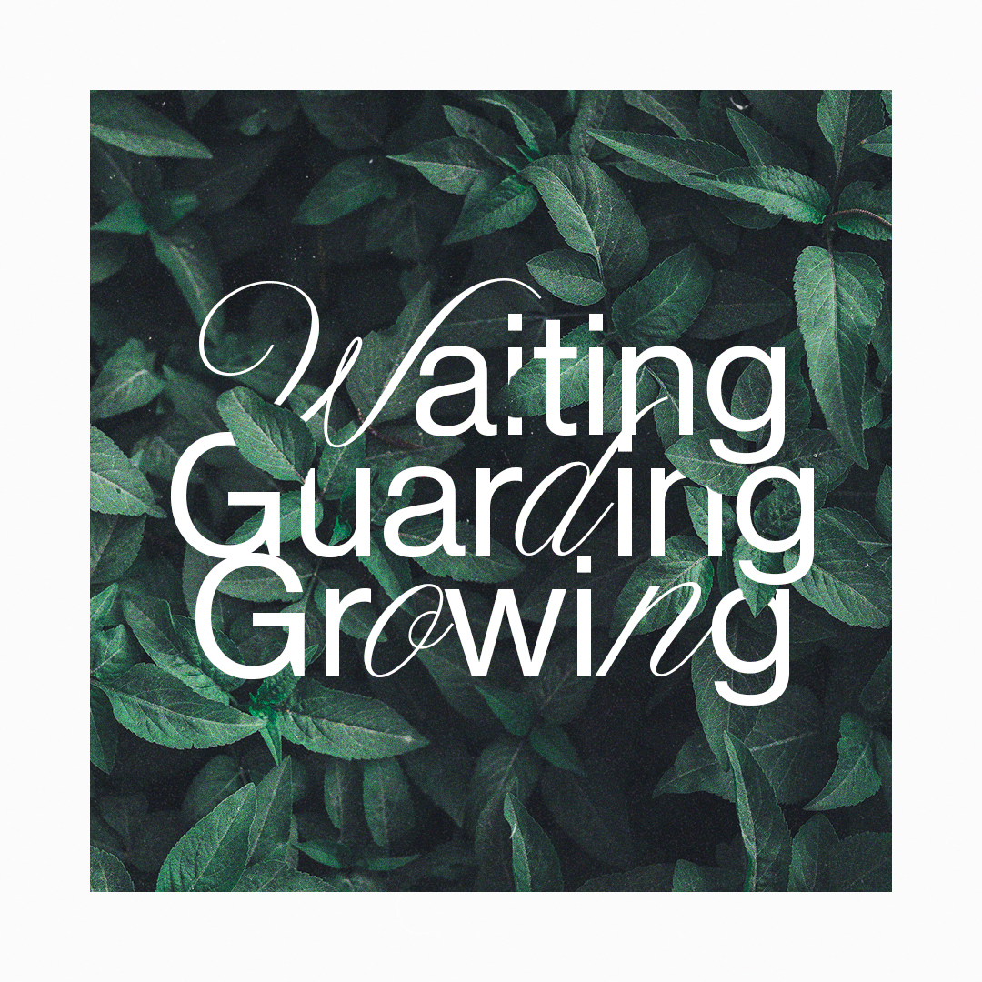 Waiting, Guarding, Growing – First Baptist Church St. Charles